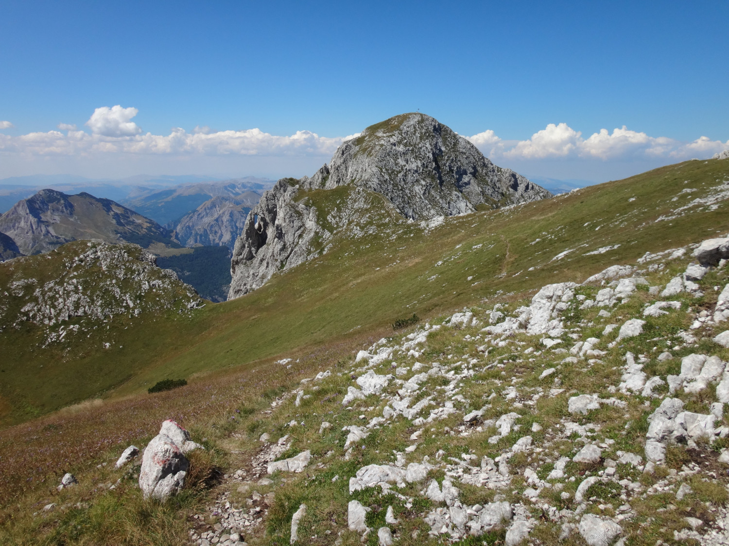 Persuasive Dreams – When day dreaming excites you to the point of ...